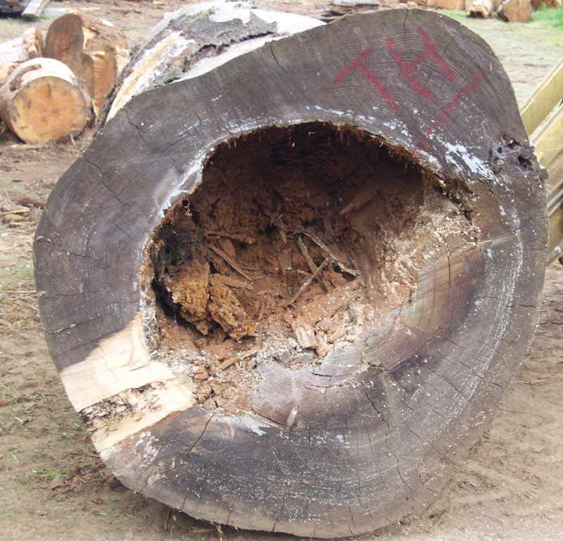 Our Camas, Washington sawmill turns out quality custom exterior wood ...